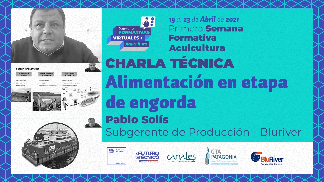 Alimentación en etapa de engorda - Bluriver - Biblioteca Técnico ...
